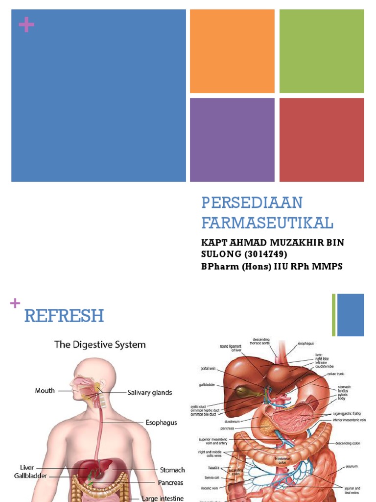 Persediaan Farmaseutikal | PDF
