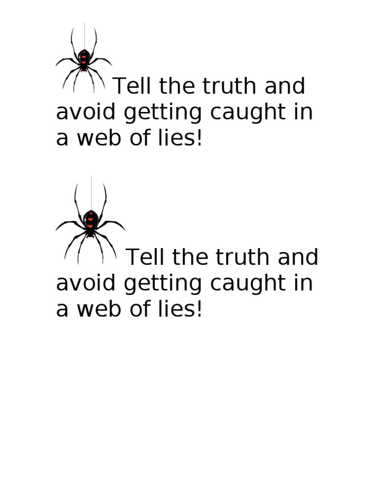 Spiders | PDF | Games & Activities | Social Science