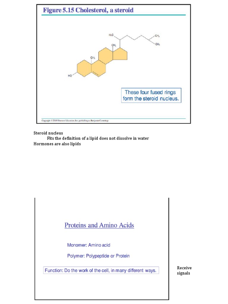Understanding Steroid Nucleus and Proteins | PDF