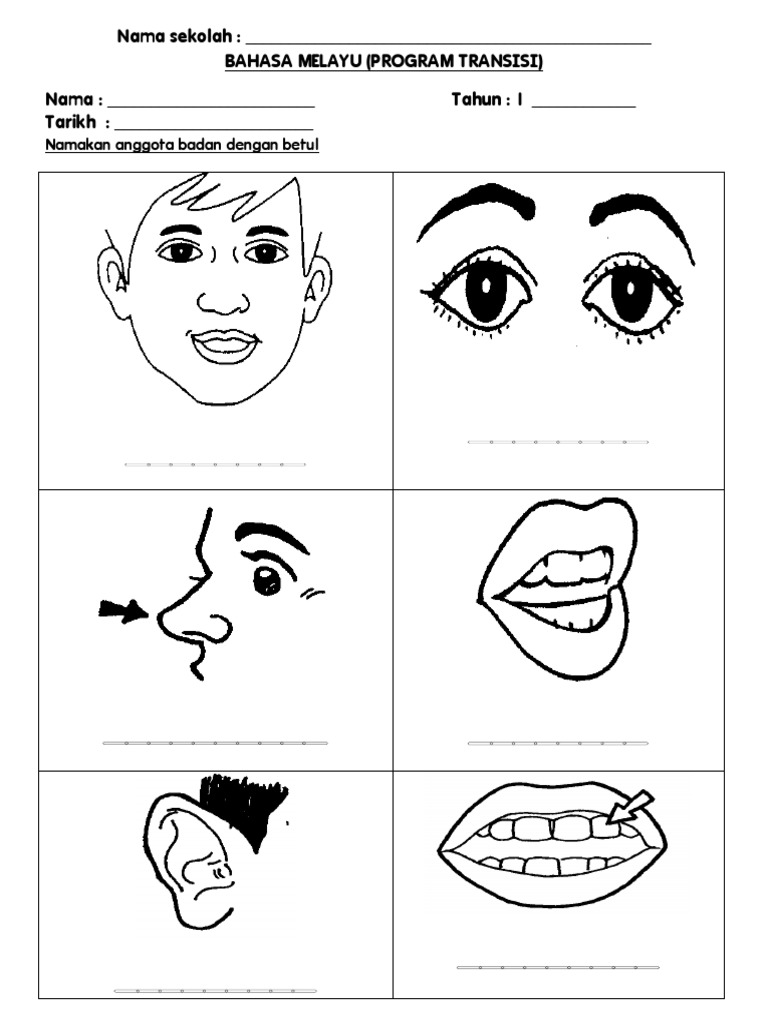 07.01.2019 Lembaran Kerja Anggota Badan | PDF