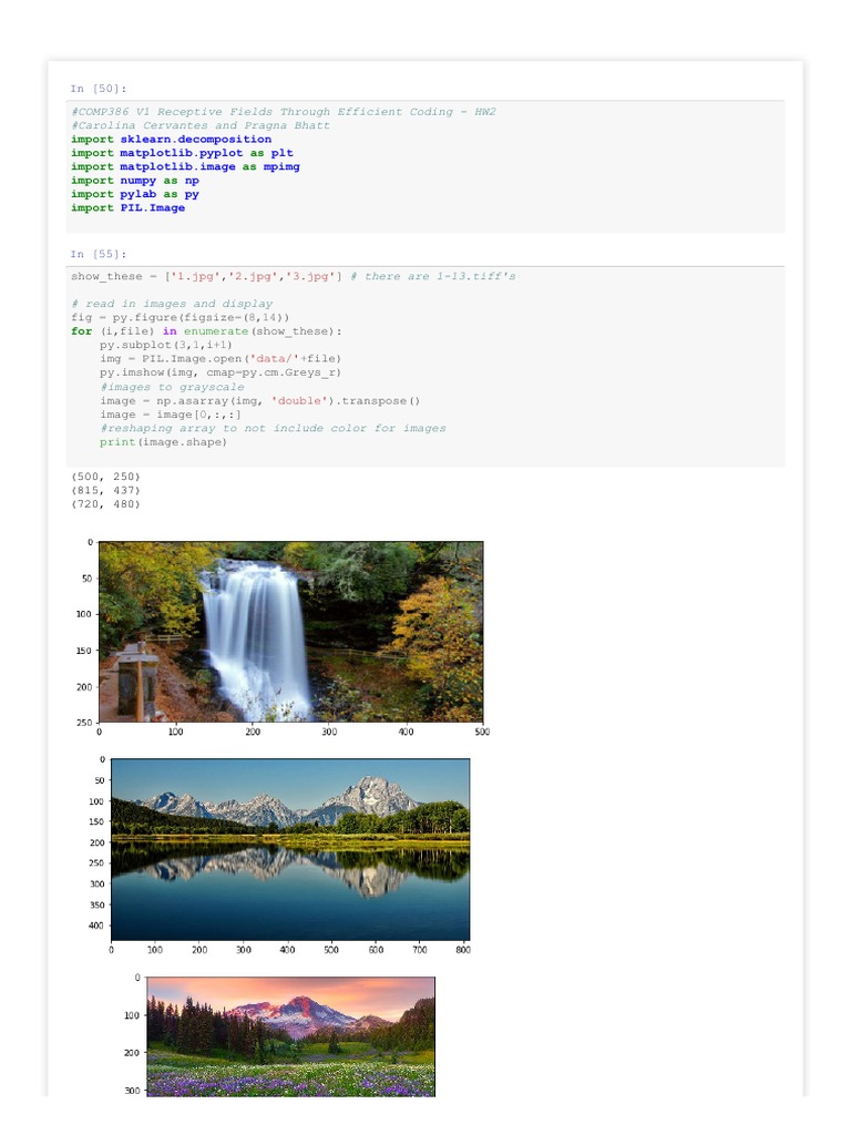 V1 Receptive Fields Through Efficient Coding - HW2 | PDF | Principal Component Analysis | Signal ...