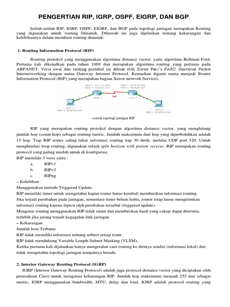 Pengertian Rip, Igrp, Ospf, Eigrp, Dan BGP | PDF | Komputer