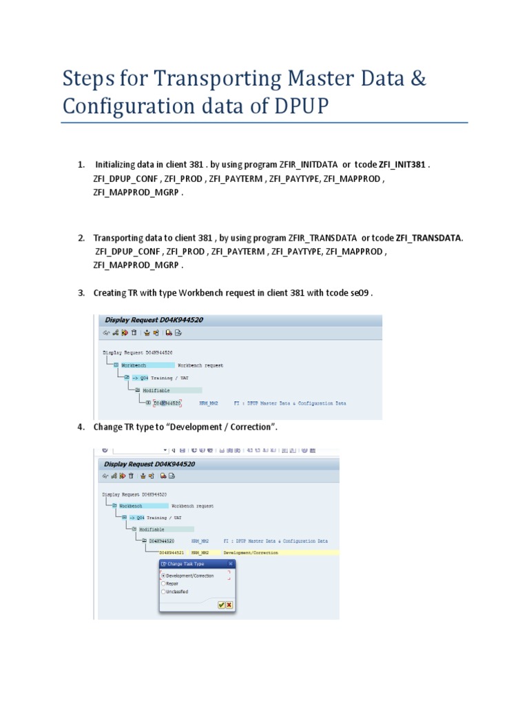 Steps Tranporting Master Data | PDF