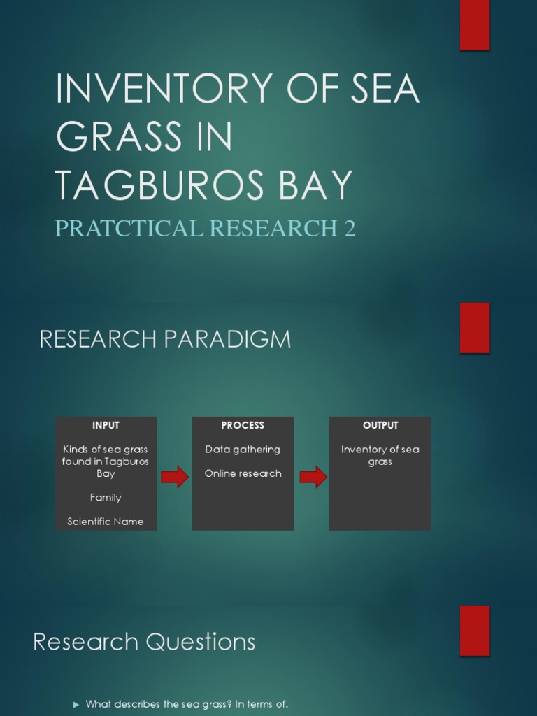 Inventory of Sea Grass in Tagburos Bay: Pratctical Research 2 | PDF