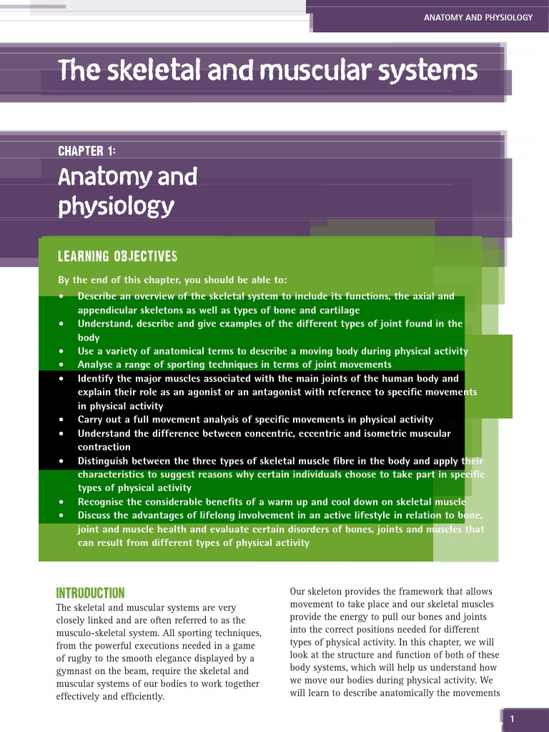 Anatomy of the Skeletal and Muscular Systems | PDF | Anatomical Terms ...