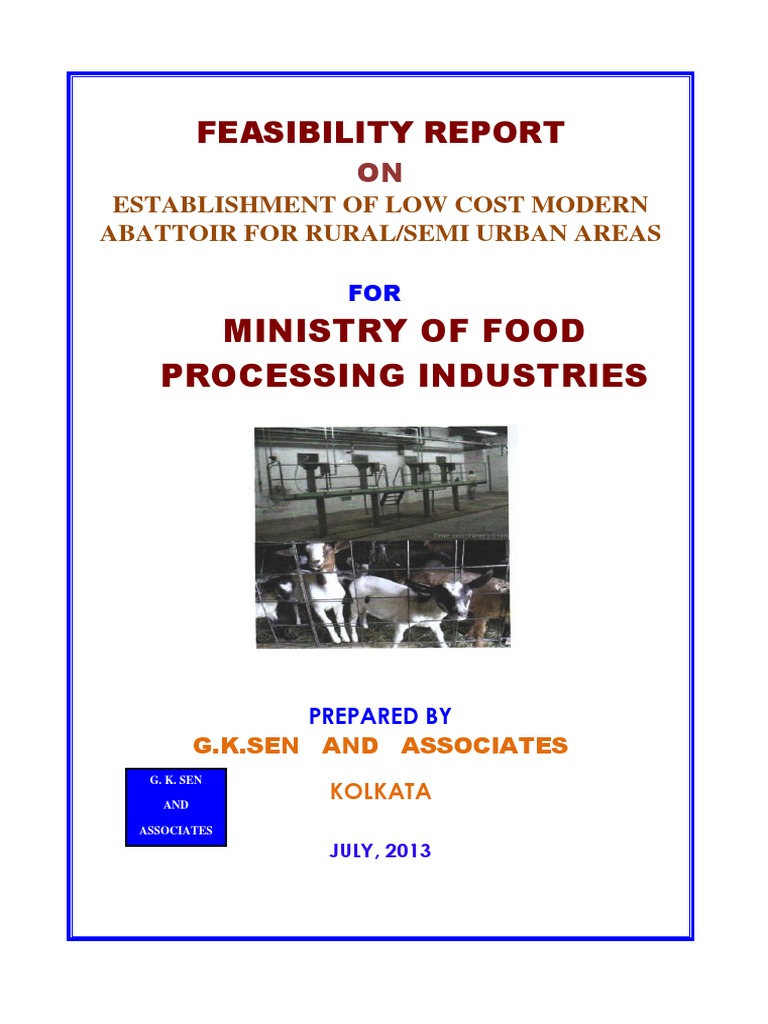 Establishing a Low-Cost Modern Abattoir: A Techno-Economic Feasibility ...
