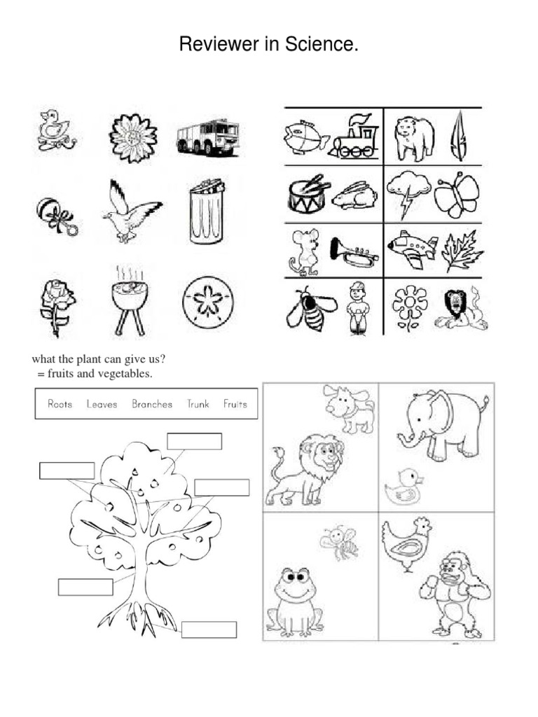 What The Plant Can Give Us | PDF