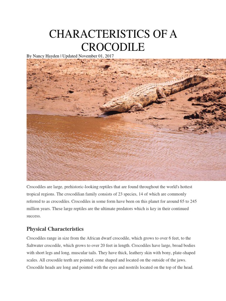 Characteristics of A Crocodile: by Nancy Hayden - Updated November 01 ...