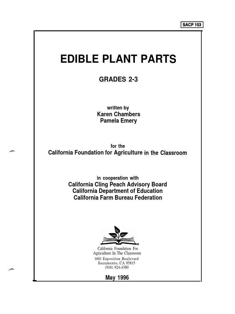 Edible Plant Lesson Plan | PDF | Root | Plant Stem