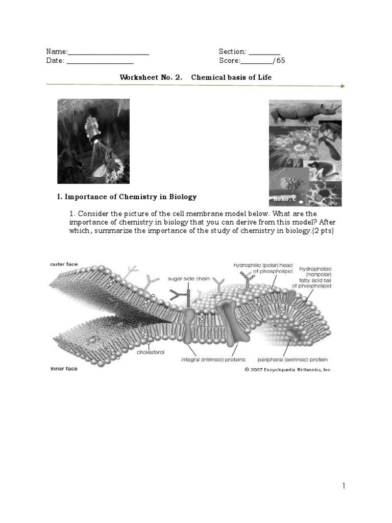 Worksheet No. 2. Chemical Basis of Life: Nono.c Om Nono.c Om | PDF ...