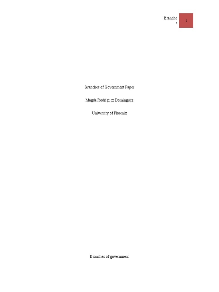 Branches of Government Paper | PDF | American Government | Presidents ...