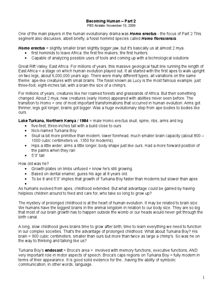 Becoming-Human Part 2 Summary | PDF | Homo | Human