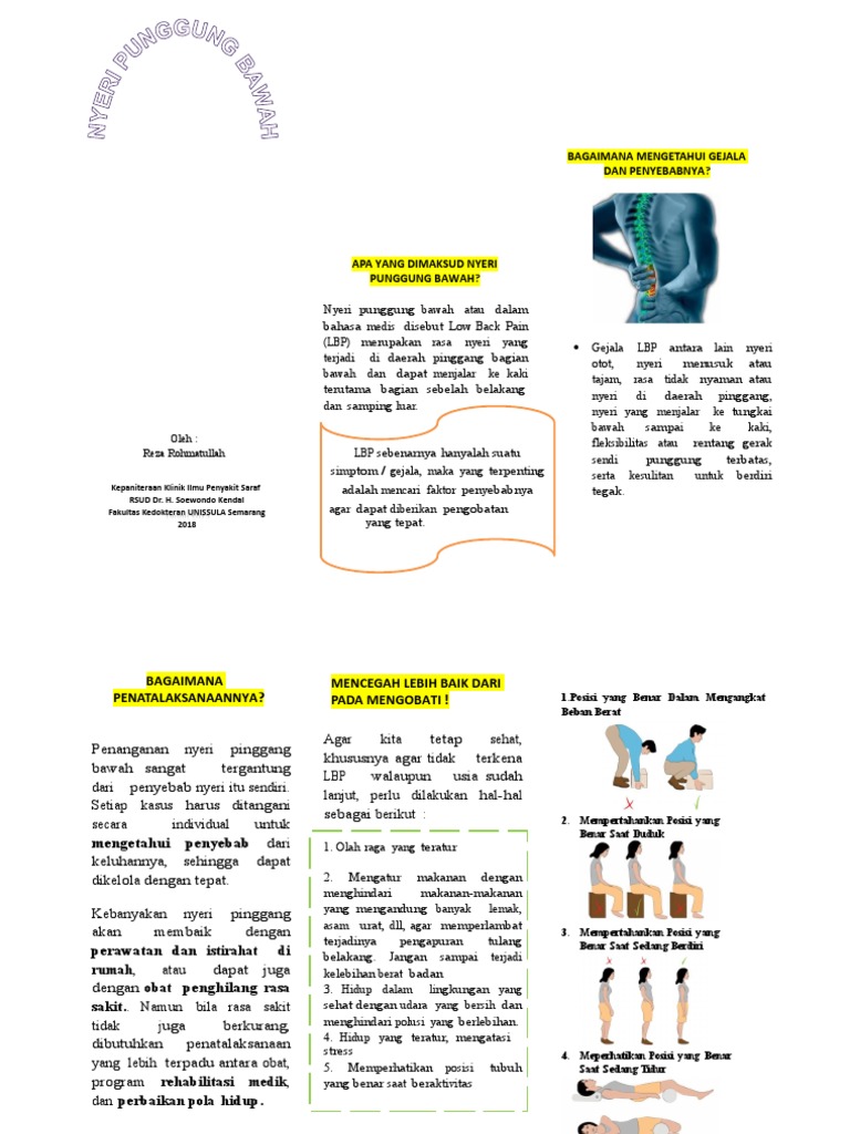Penyuluhan Leaflet LBP | PDF