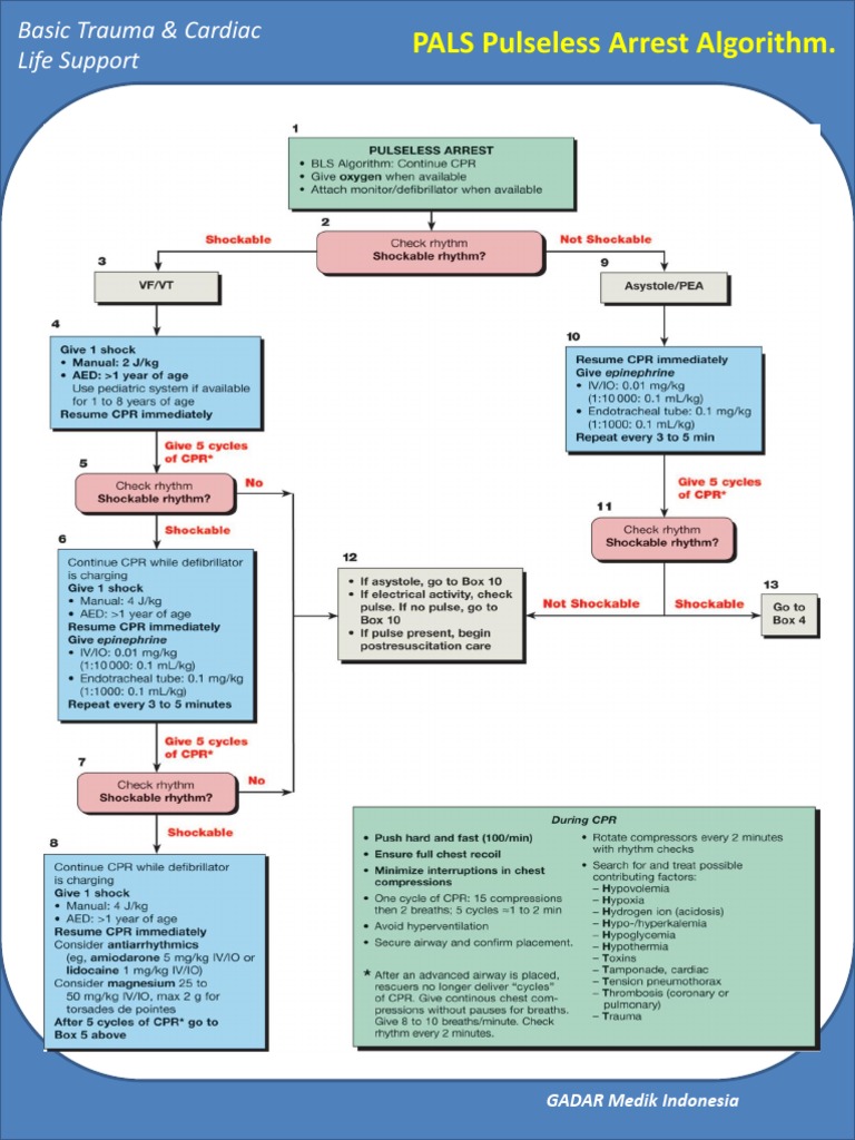 PALS Pulseless Arrest Algorithm.: GADAR Medik Indonesia | PDF | Wellness