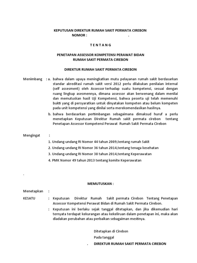 SK Asesor Internal | PDF