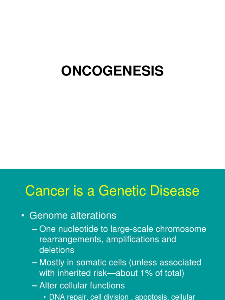 Oncogenesis: Genes and Cancer Mechanisms | PDF | P53 | Oncogene