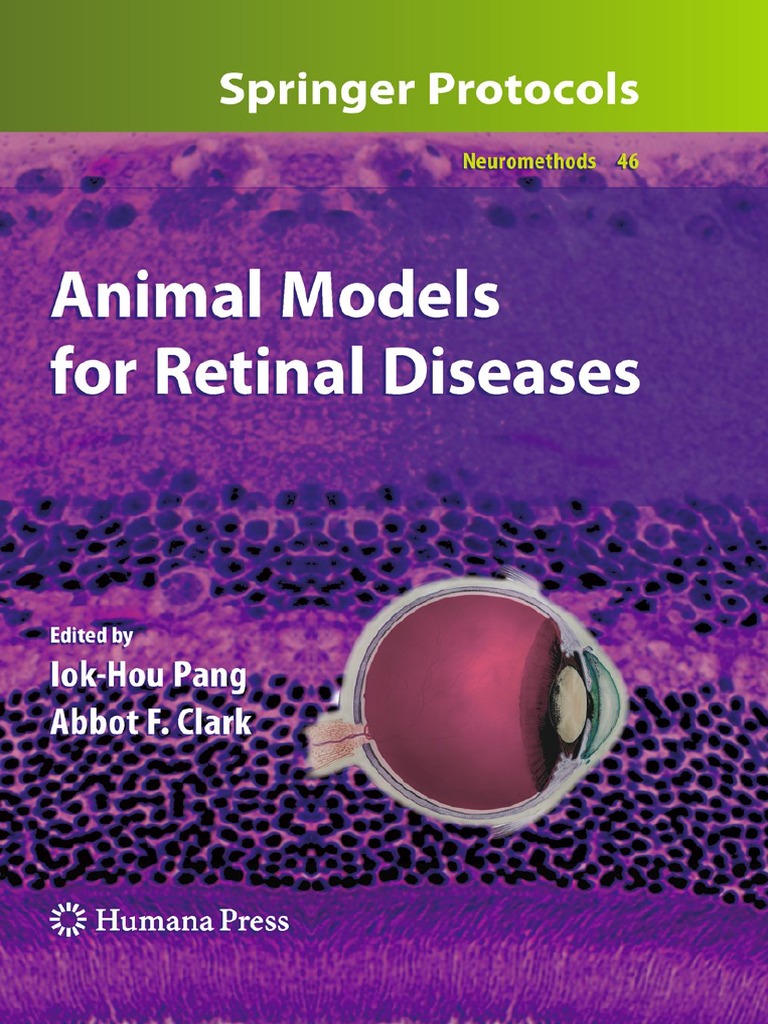Animal Model in Retina | PDF | Retina | Brain
