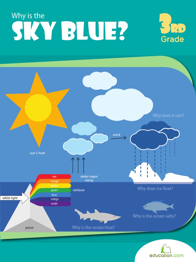 Why Is The Sky Blue Workbook | PDF | Hair | Ice