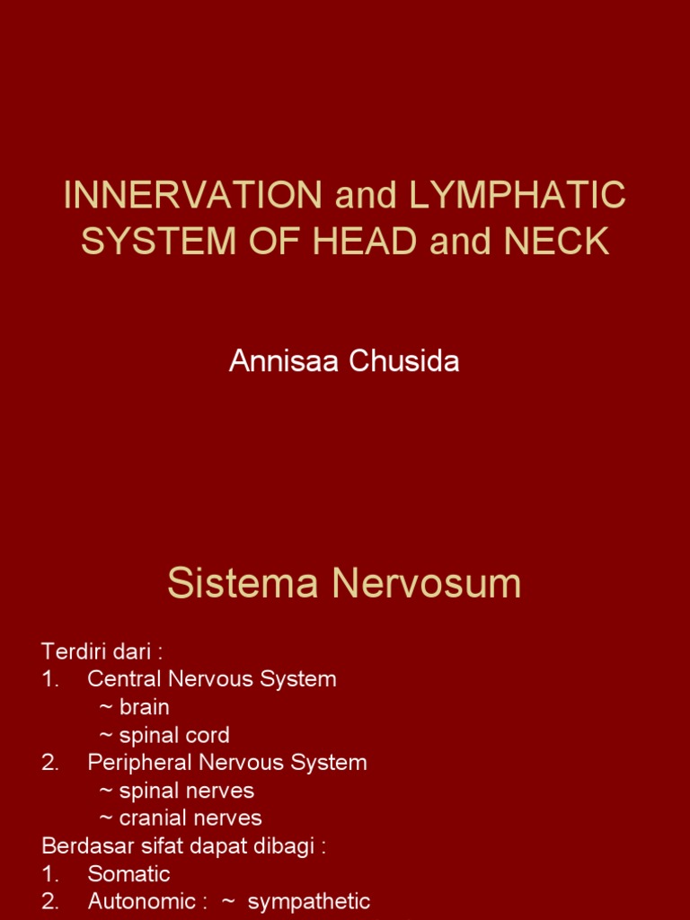 Innervation of Head and Neck Overview | PDF | Central Nervous System ...