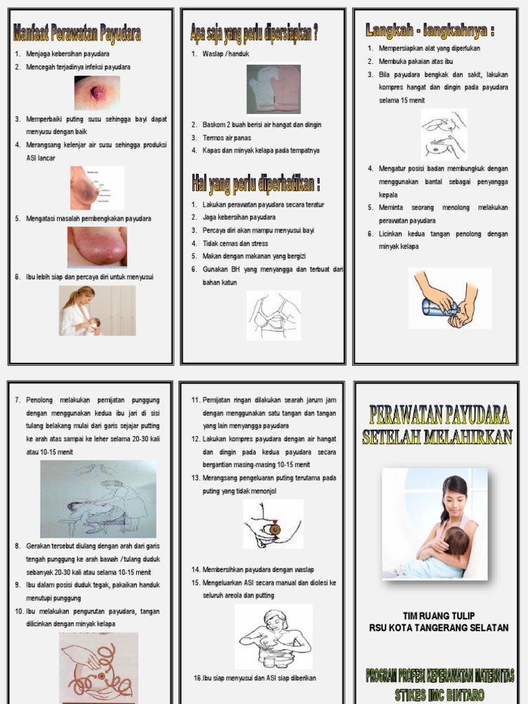 Leaflet Pijat Payudara | PDF