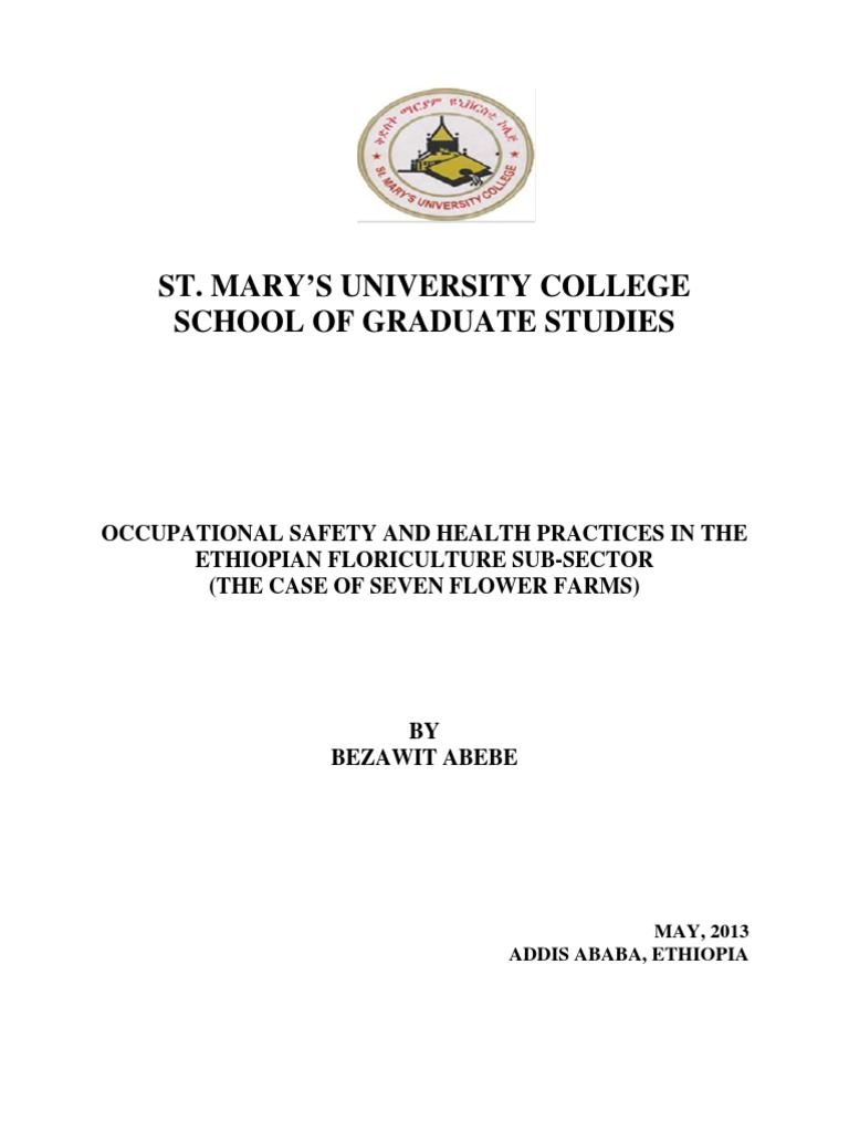Abebe Bezawit | PDF | Occupational Safety And Health | Pesticide