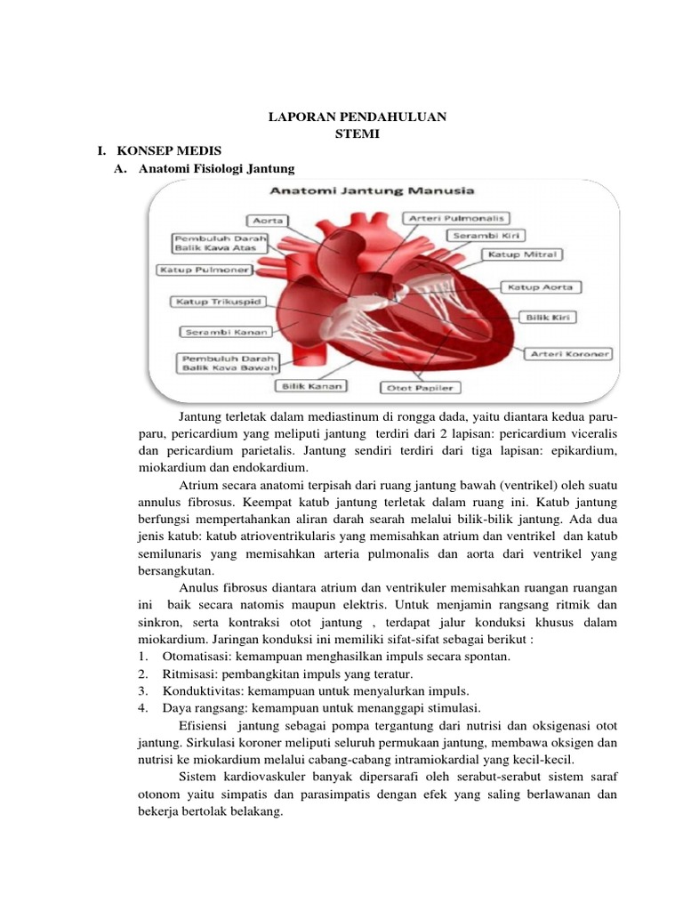 LP Stemi | PDF
