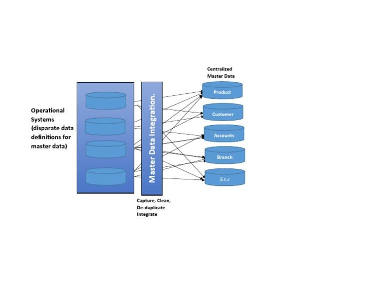 Operational Systems (Disparate Data Definitions For Master Data) | PDF ...