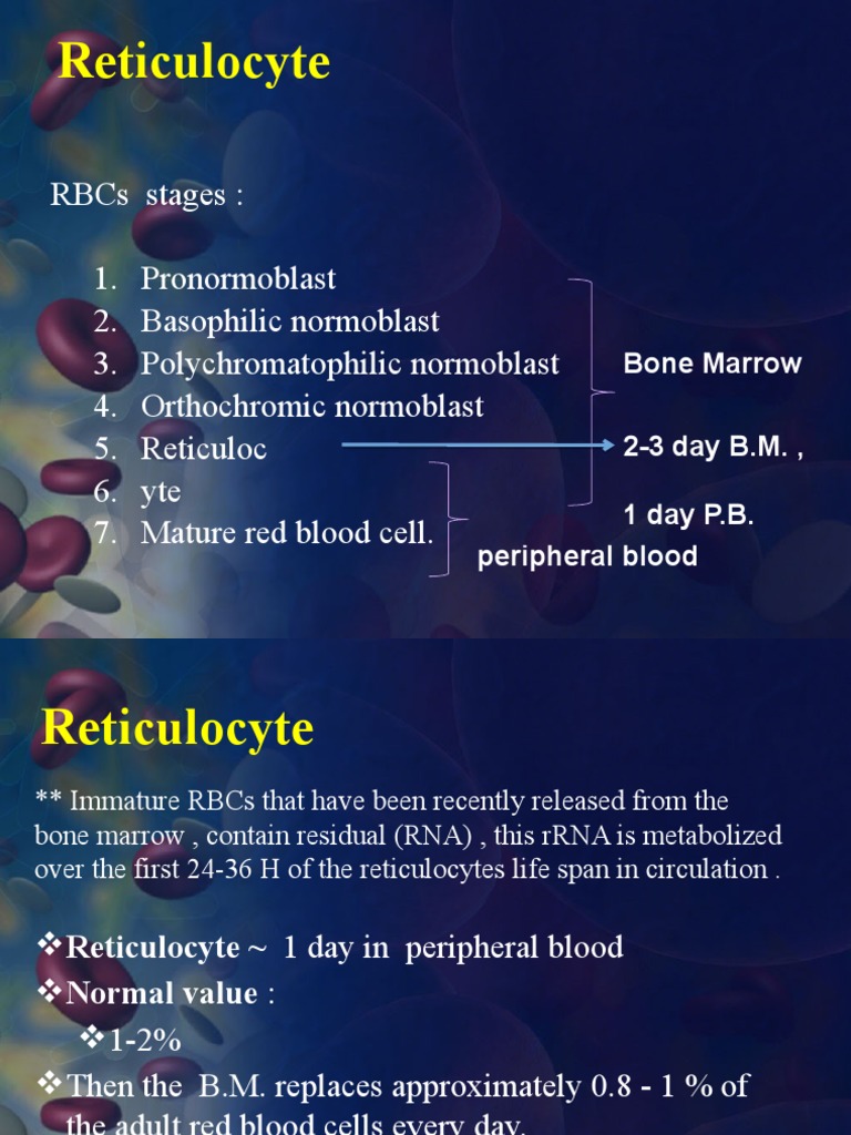 Reticulocyte Count & RPI Guide | PDF | Anemia | Body Fluids