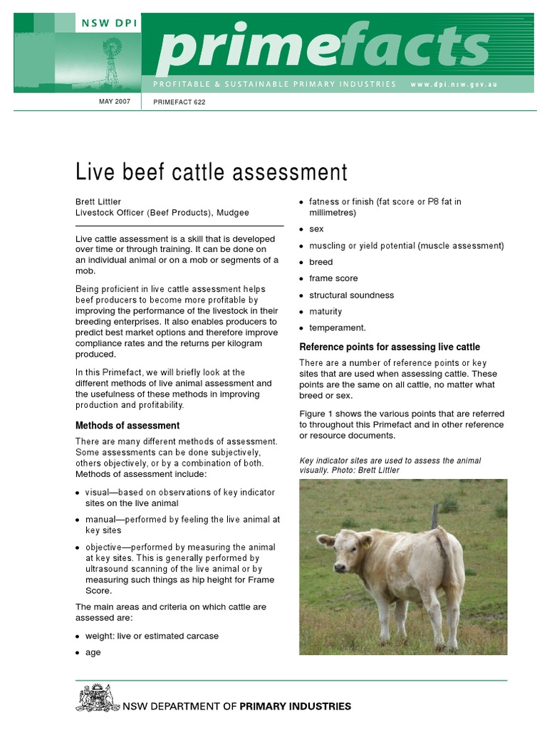 Evolution of Dentition in Cattle Life | PDF | Cattle | Livestock