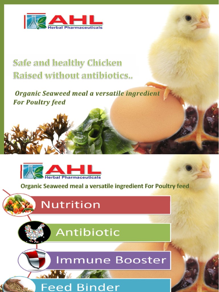 Organic Seaweed Poultry Feed Brochure PDF | Download Free PDF | Poultry ...