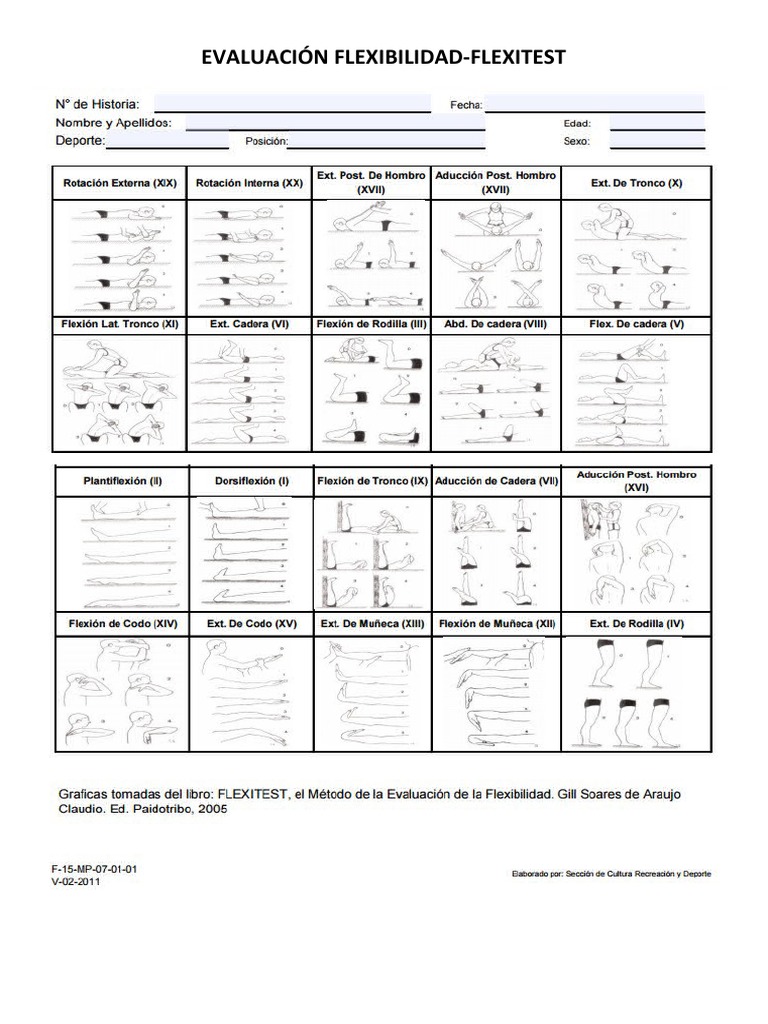 Flexitest | PDF
