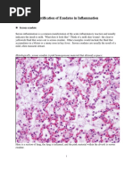 Types of Wound Exudate Explained | PDF