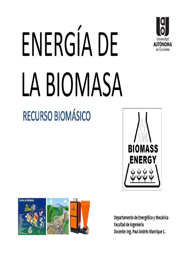 Biomasa - Recurso de La Biomasa PDF | PDF | Biomasa | Biocombustible