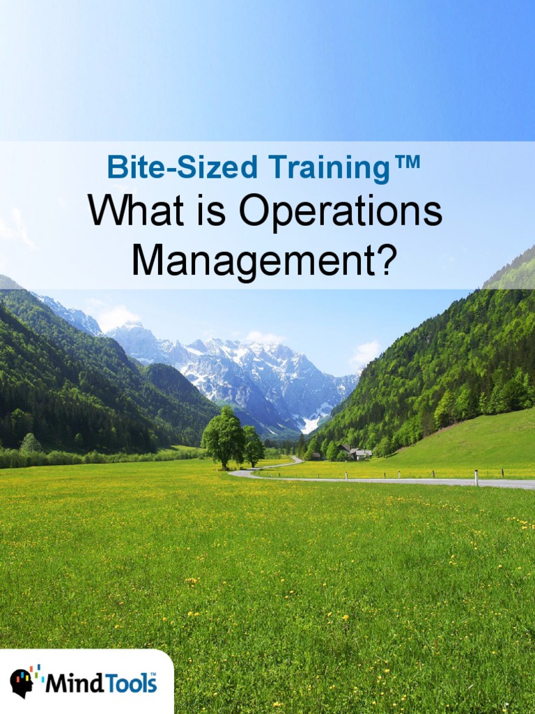 Bite-Sized Training™: What Is Operations Management? | PDF | Operations ...