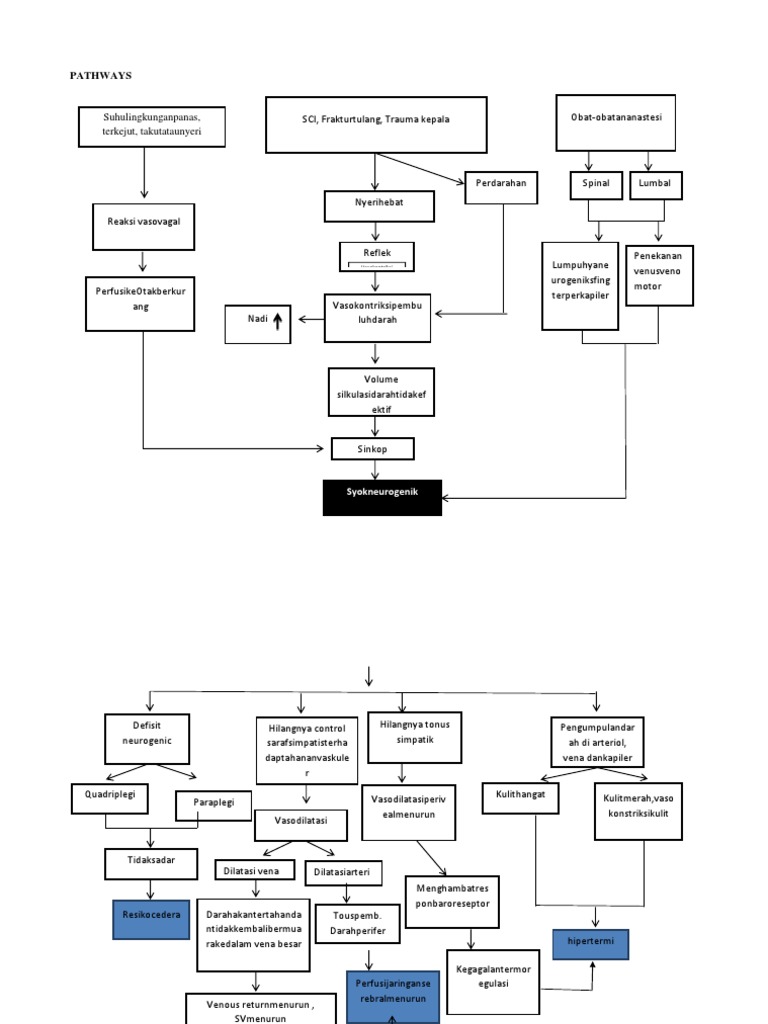 Pathways Syok Neurogenik | PDF