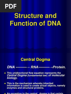 Dna Function