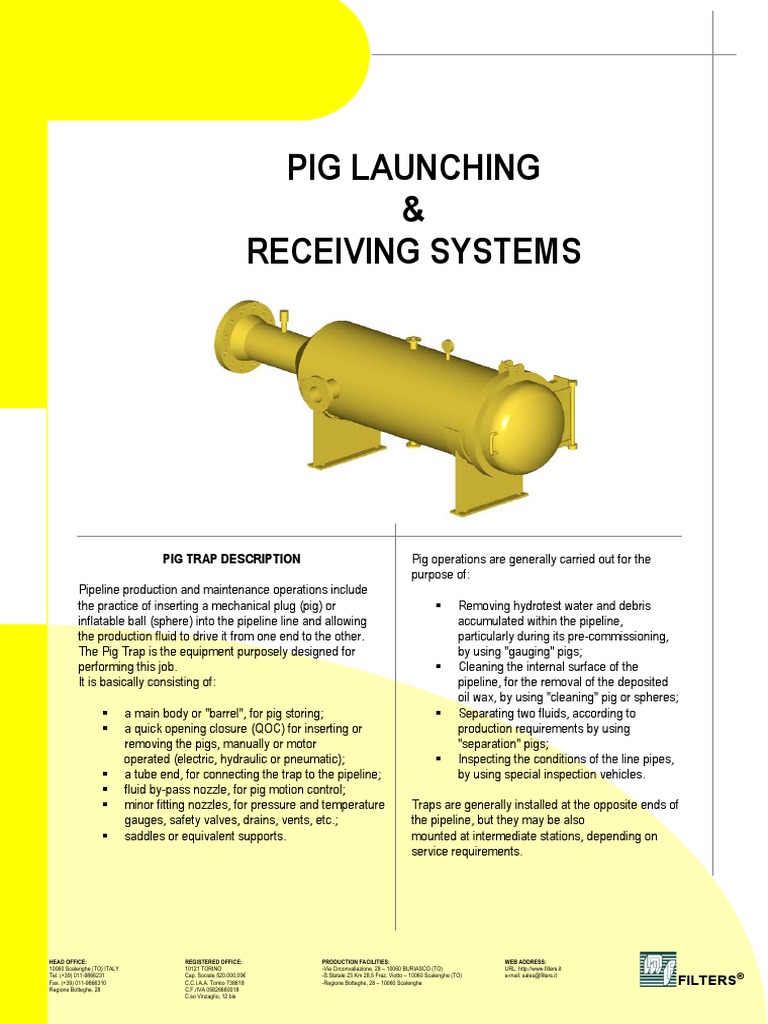Pig Launching & Receiving Systems | PDF | Pipeline Transport | Pipe ...