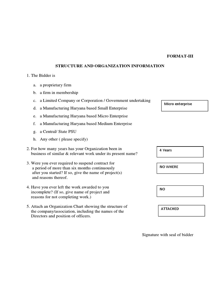 Format-Iii Structure and Organization Information: Micro Enterprise | PDF