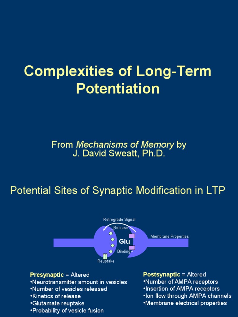 Complexities of Long-Term Ion | PDF | Long Term Potentiation | Chemical ...