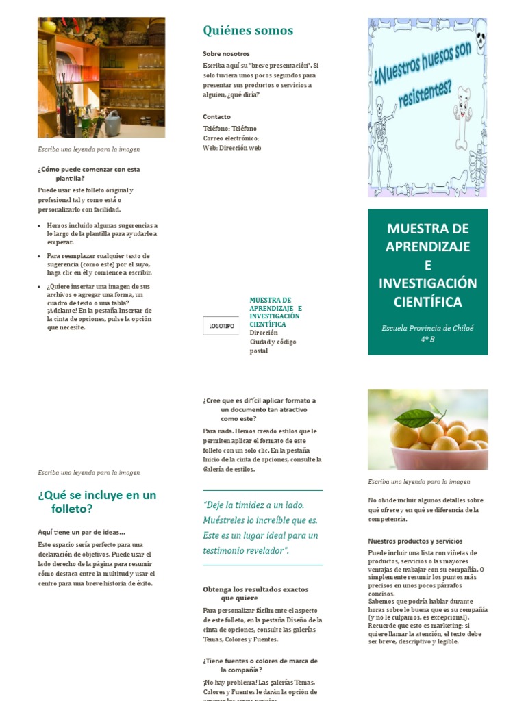 Boceto para Triptico | PDF | Informática y tecnología de la información | Science