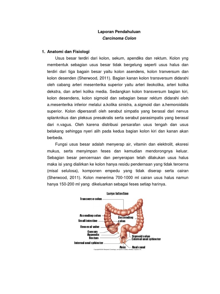 LP Ca. Colon | PDF