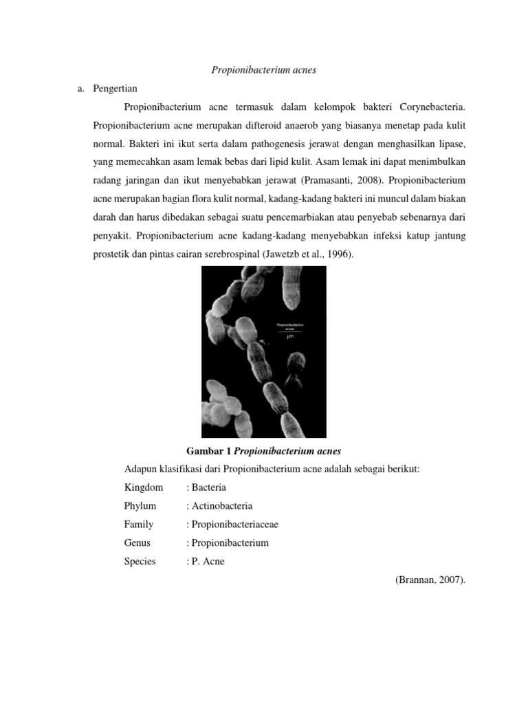 Klasifikasi dan Peran Propionibacterium acnes | PDF | Pengembangan Diri