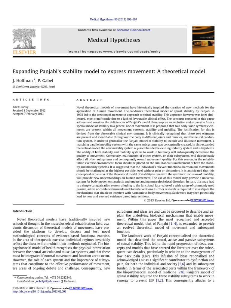 Panjabi Model of Spinal Stability | PDF | Pelvis | Muscle