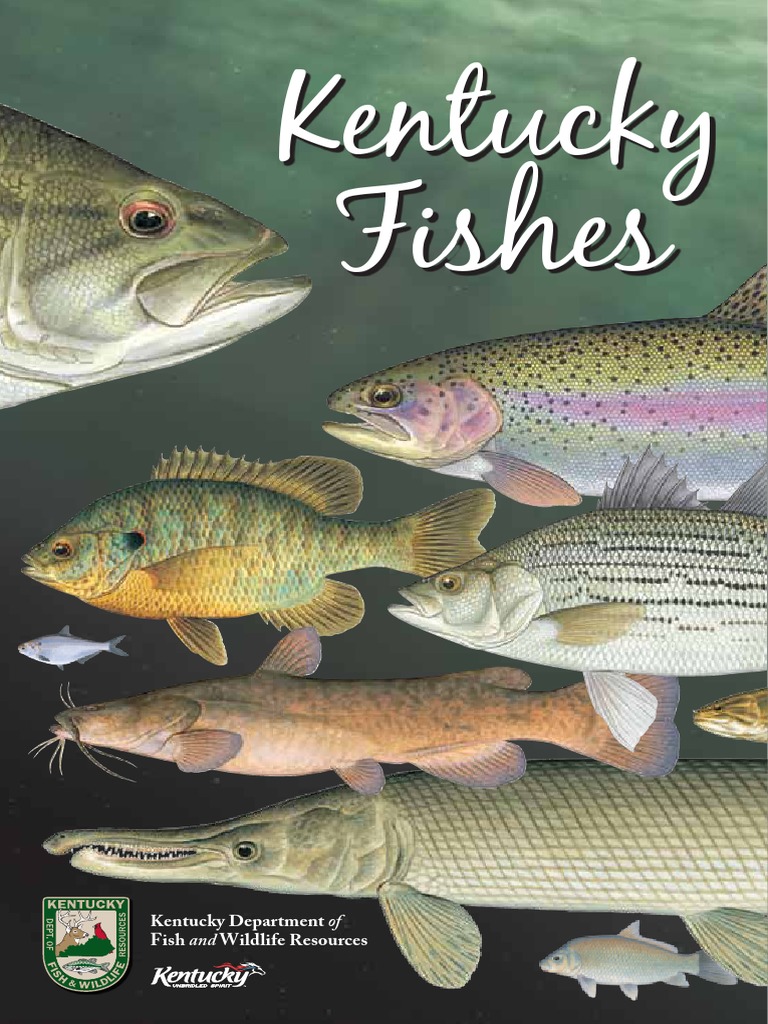 Fish Charts | PDF | Fish | Aquatic Animals