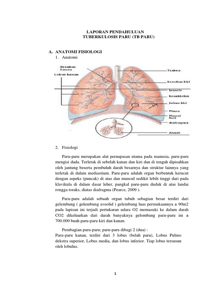 LP TB PARU - Fix | PDF