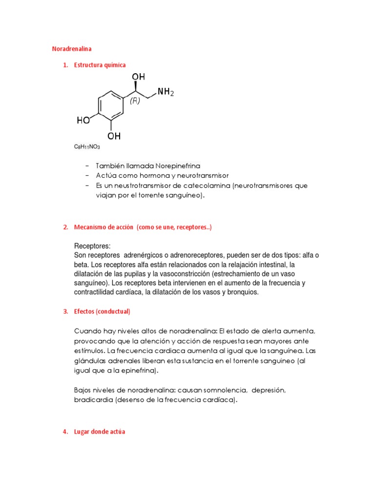 La noradrenalina: estructura, mecanismo de acción, efectos y relevancia ...