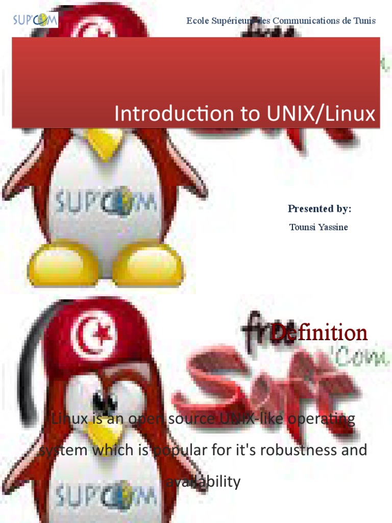 Linux Unix Introduction Pdf Linux Computer File