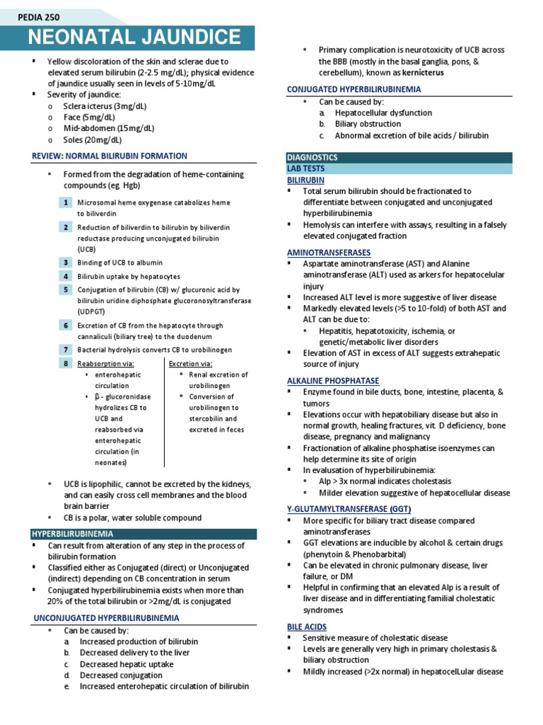 Jaundice Notes | PDF | Medical Specialties | Liver