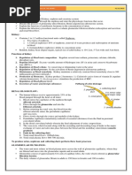 Life Science Grade 11 Term 3 Notes | PDF | Kidney | Urine