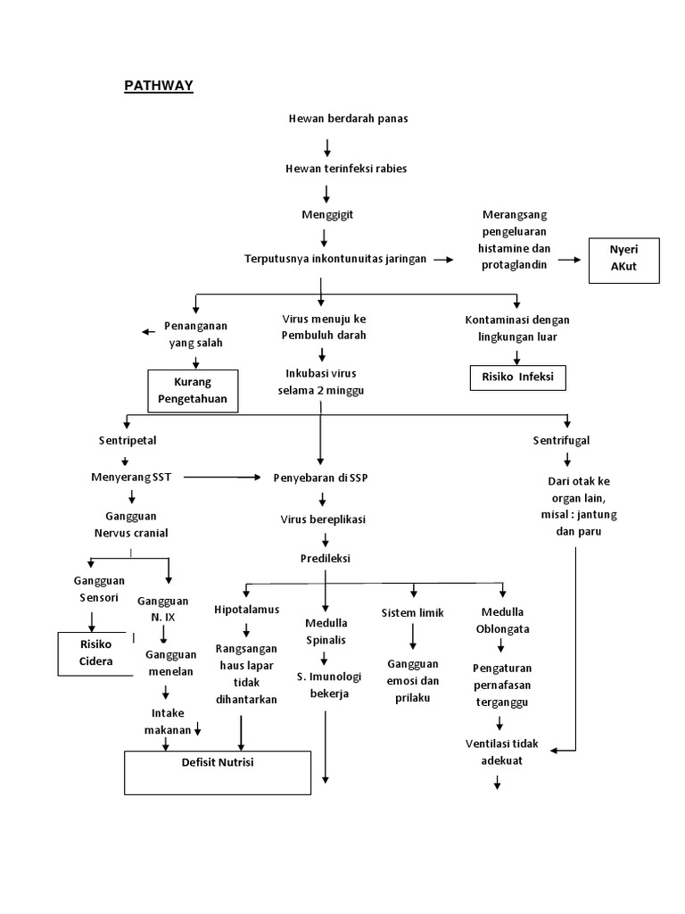Pathway Rabies Fix | PDF